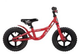 Bike | Fun Pug Bike Rentals